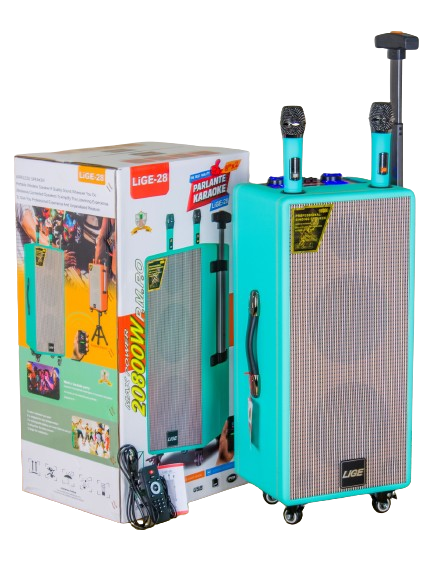 Euroken LiGE-28 Outdoor HI FI Wood Trolley Speaker Bluetooth